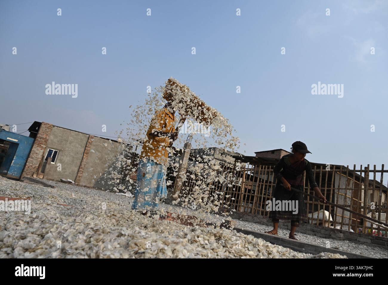 Workers are processing fish scales for export at a factory at ...