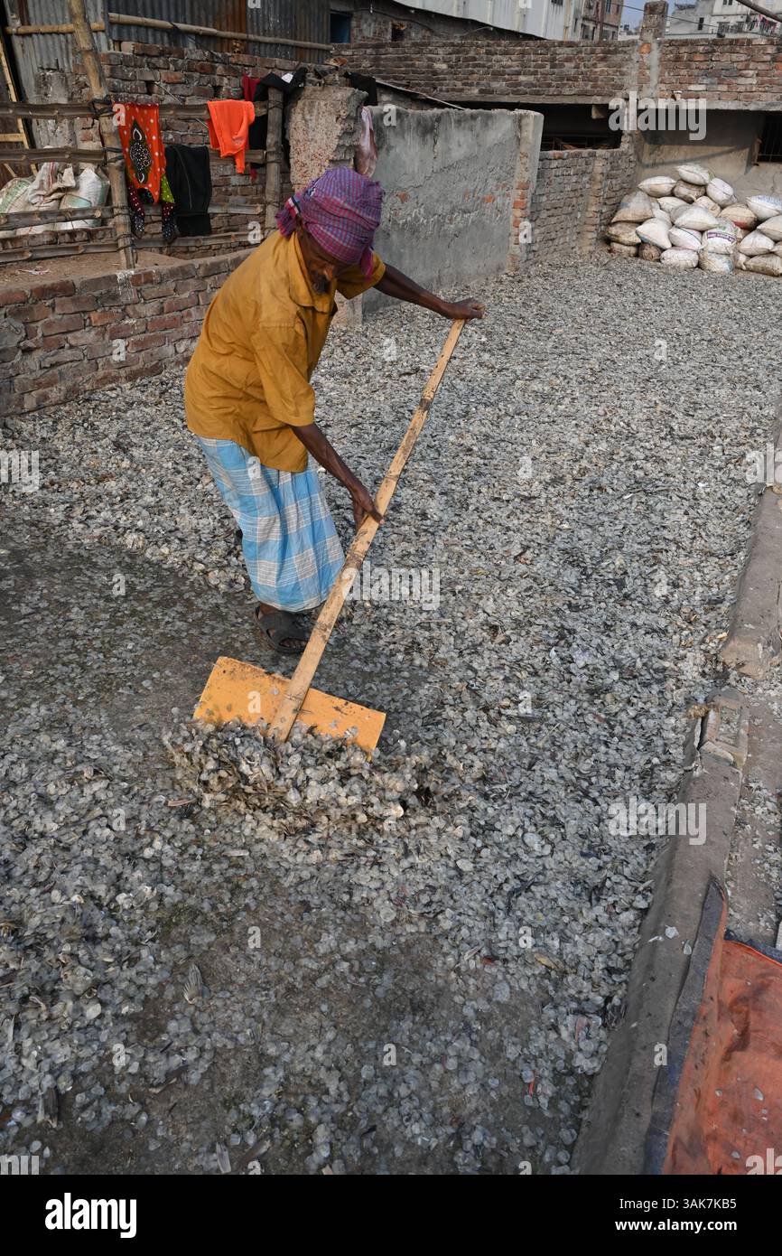 Workers are processing fish scales for export at a factory at Mohammadpur in Dhaka, Bangladesh ...