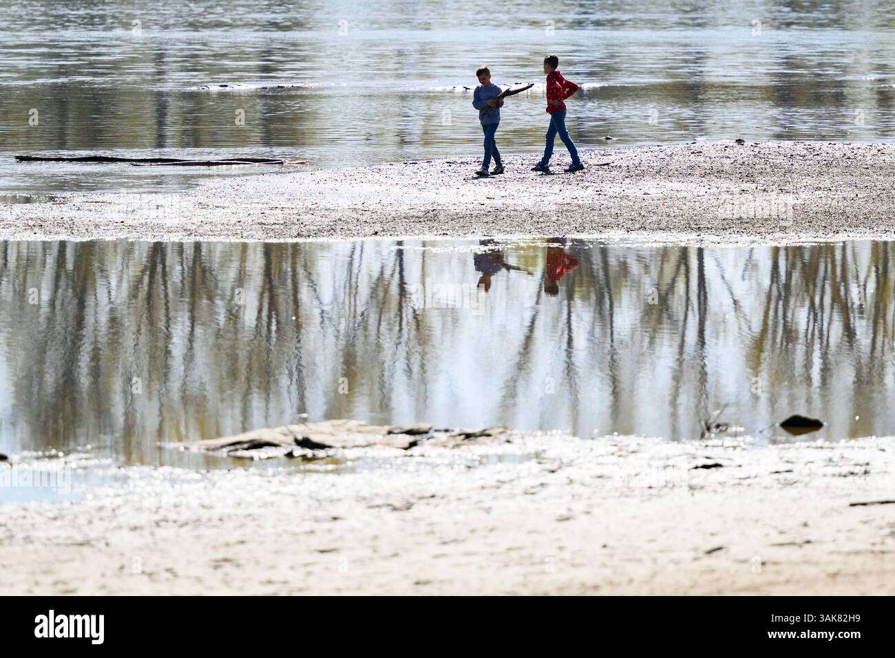 Wenig Wasser im Rhein 12.04.2025 Nierstein Der Wasserstand des Rhein ...