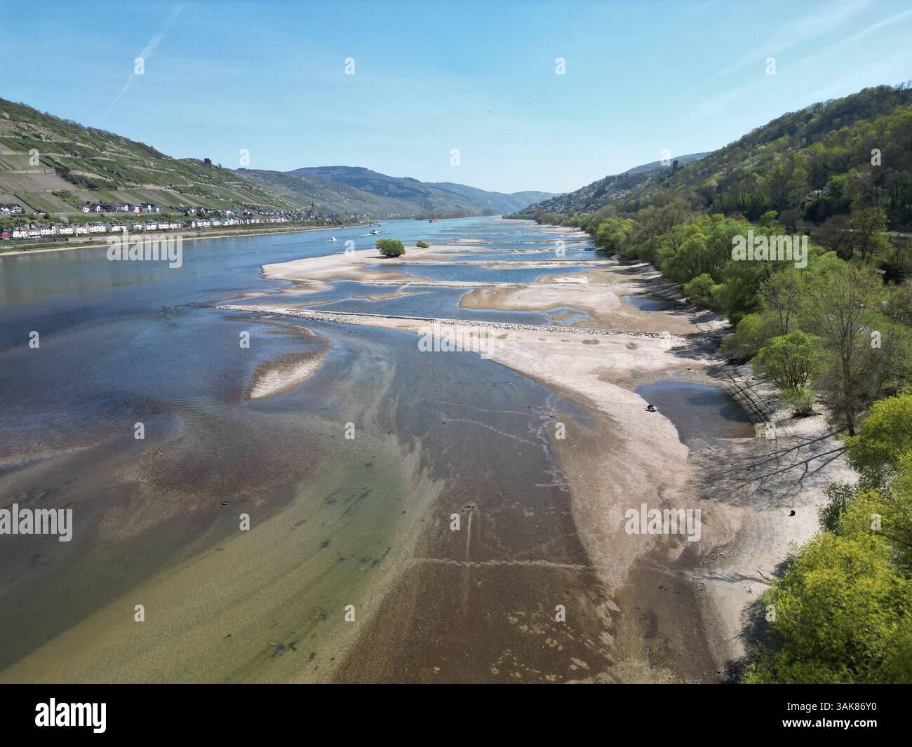 Wenig Wasser im Rhein 12.04.2025 Bacharach Der Wasserstand des Rhein ...
