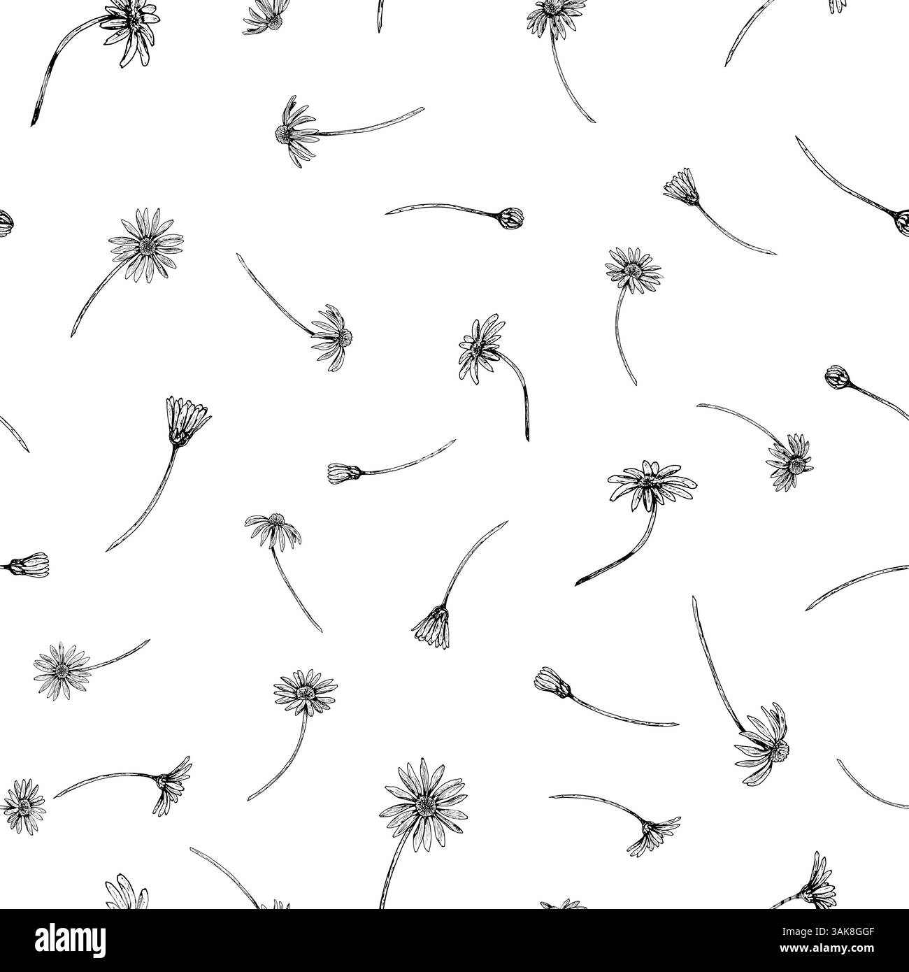 Rustic garden charm Black and White Stock Photos & Images - Alamy