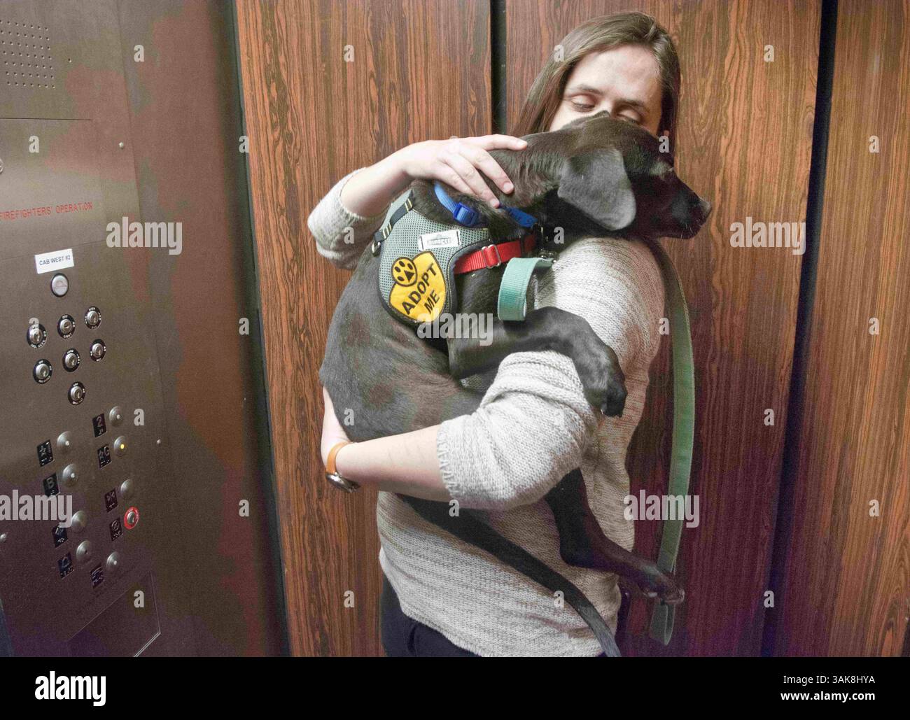 Adopting a puppy hi-res stock photography and images - Alamy
