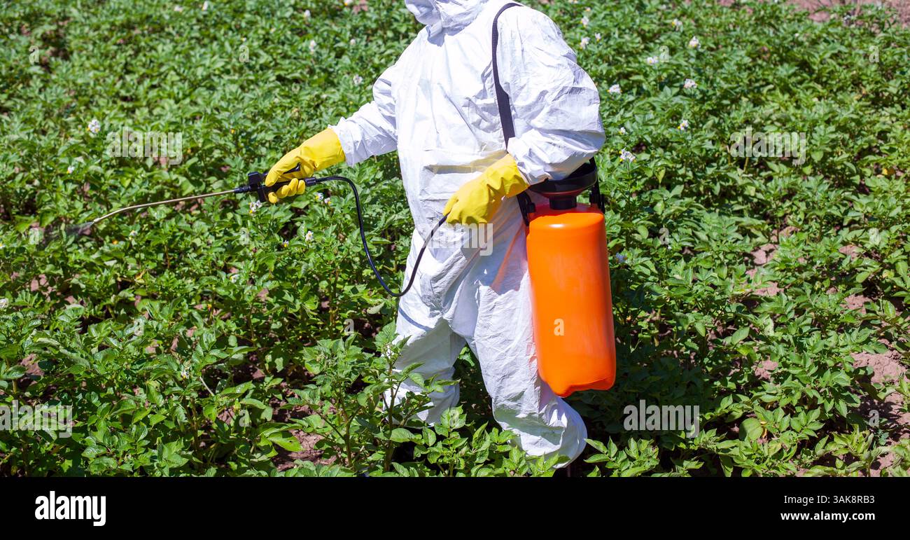 Unrecognizable farmer wearing protective clothing and gloves spraying ...