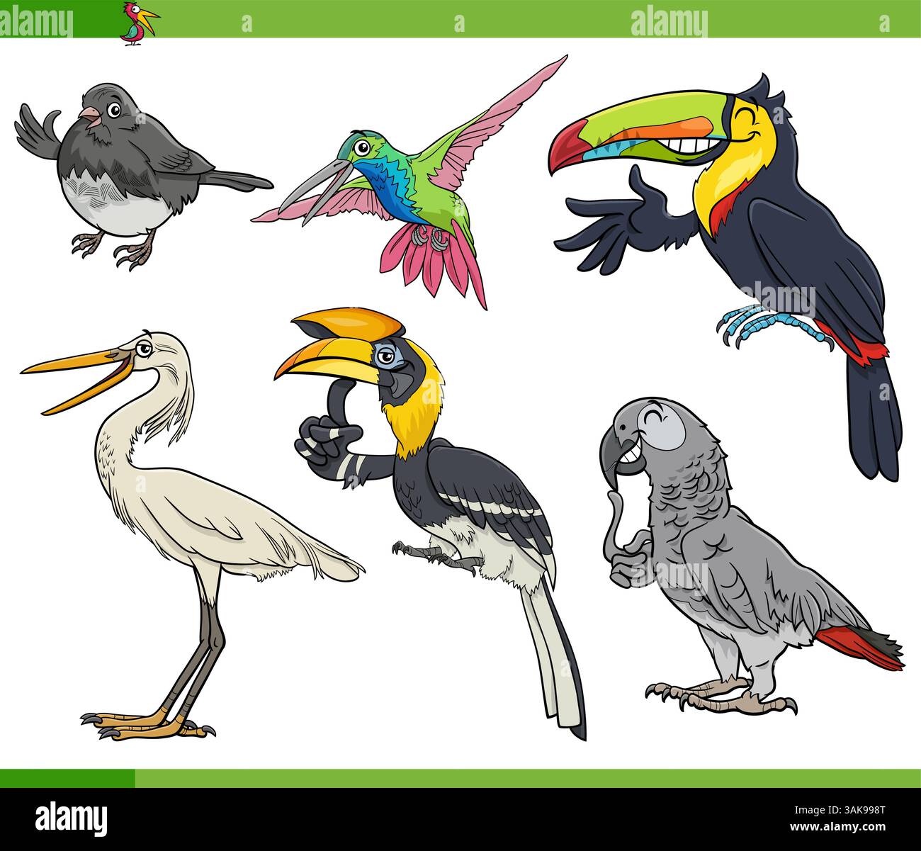 Cartoon illustration of wild birds comic animal species characters set ...