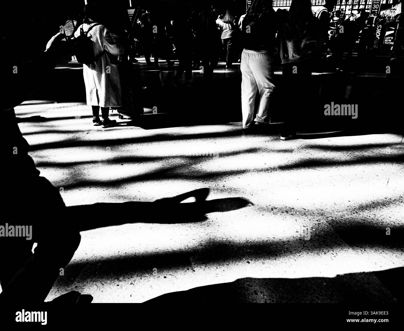 Long evening shadows of people at a train station Stock Photo - Alamy