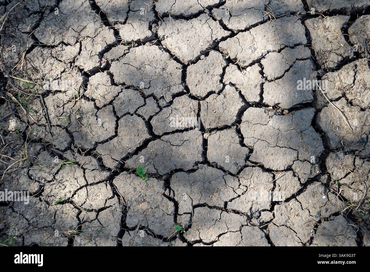 Dry cracked mud detail hi-res stock photography and images - Alamy