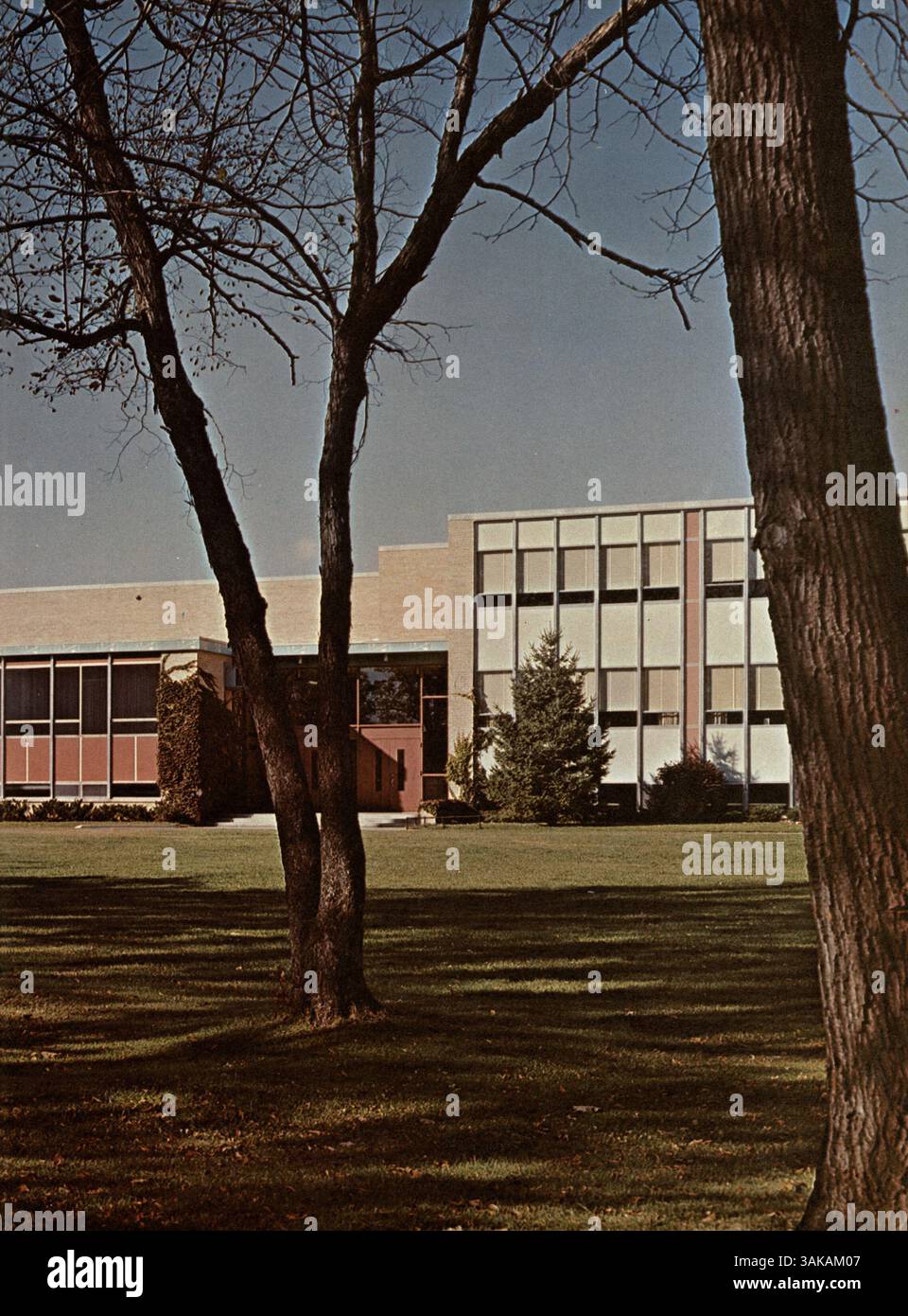 The 1965 Mustang Yearbook from Breck School documents academic ...