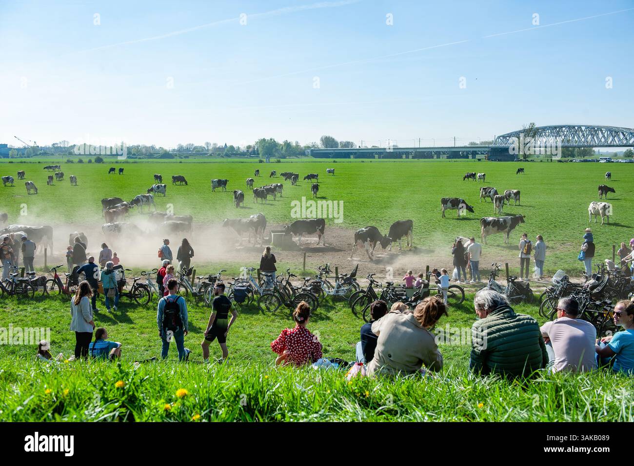 Hundreds of people are seen enjoying the event. Each year, farms ...