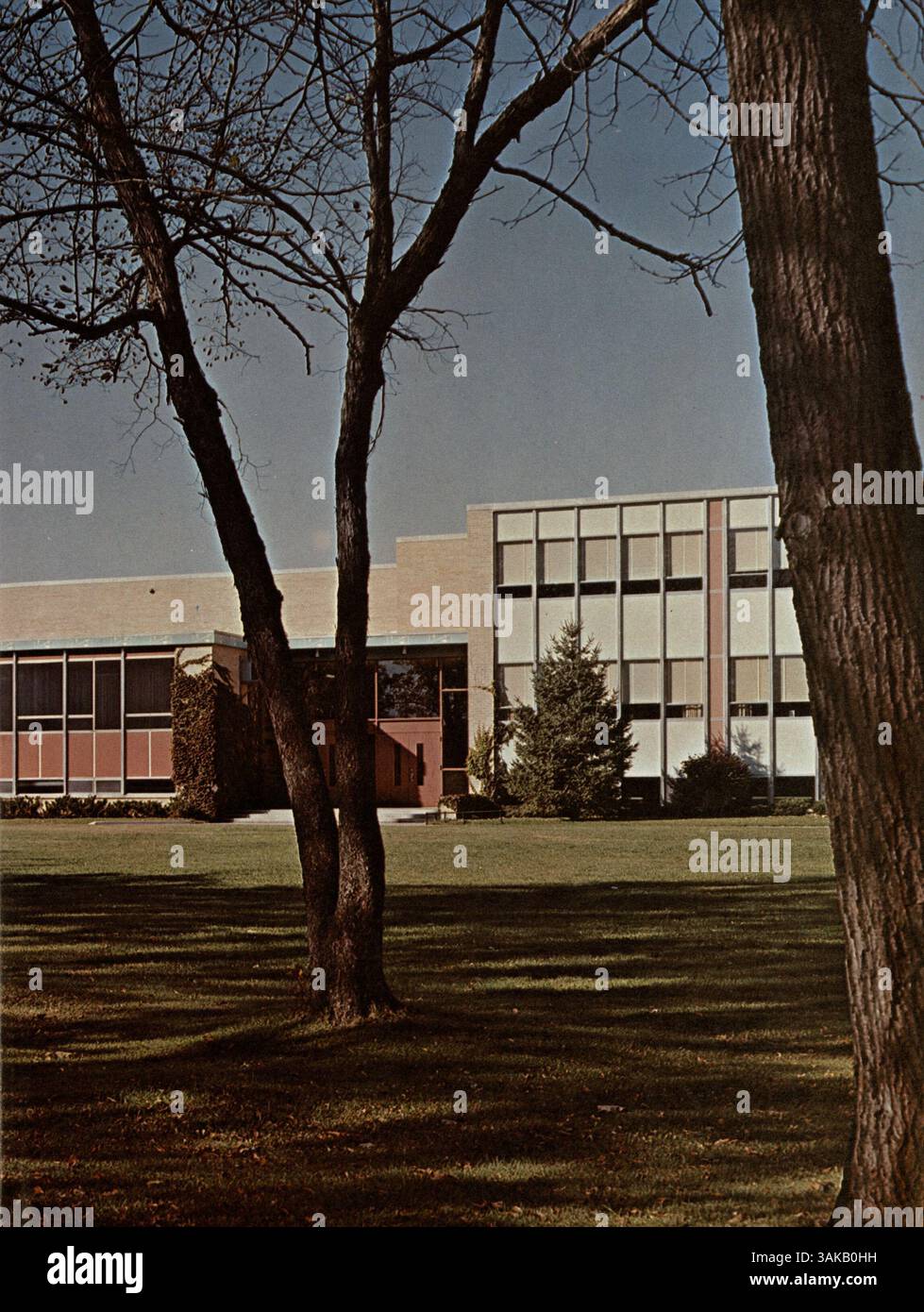 Mustang 1965 is a record of Breck High School's 1964-1965 school year ...