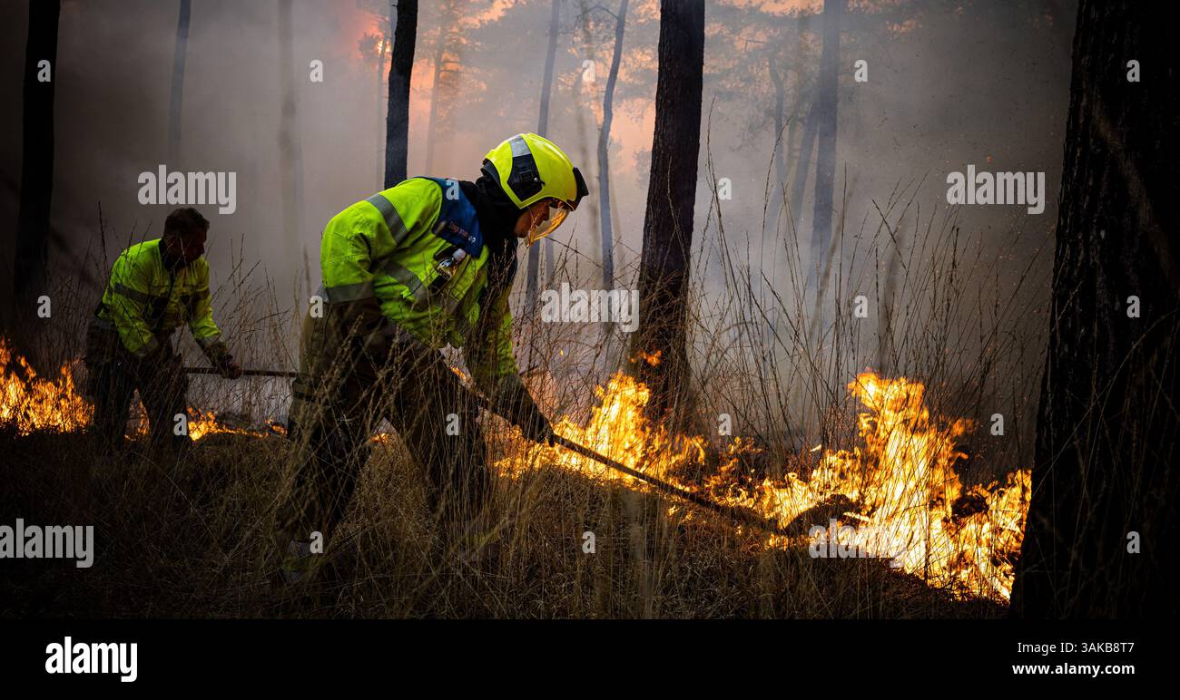 DRUNEN - Emergency services are present in a forest area near the ...