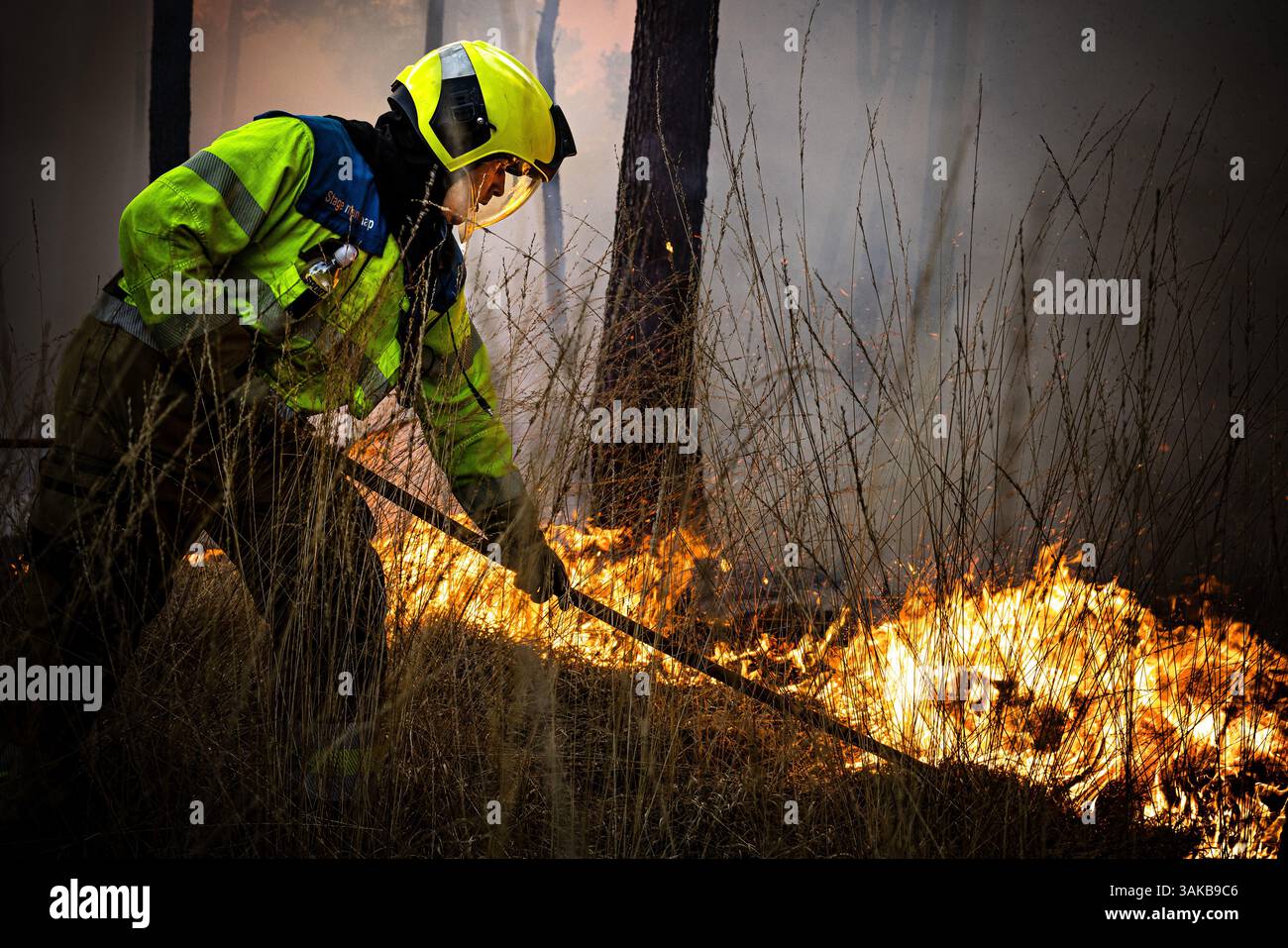 DRUNEN - Emergency services are present in a forest area near the ...