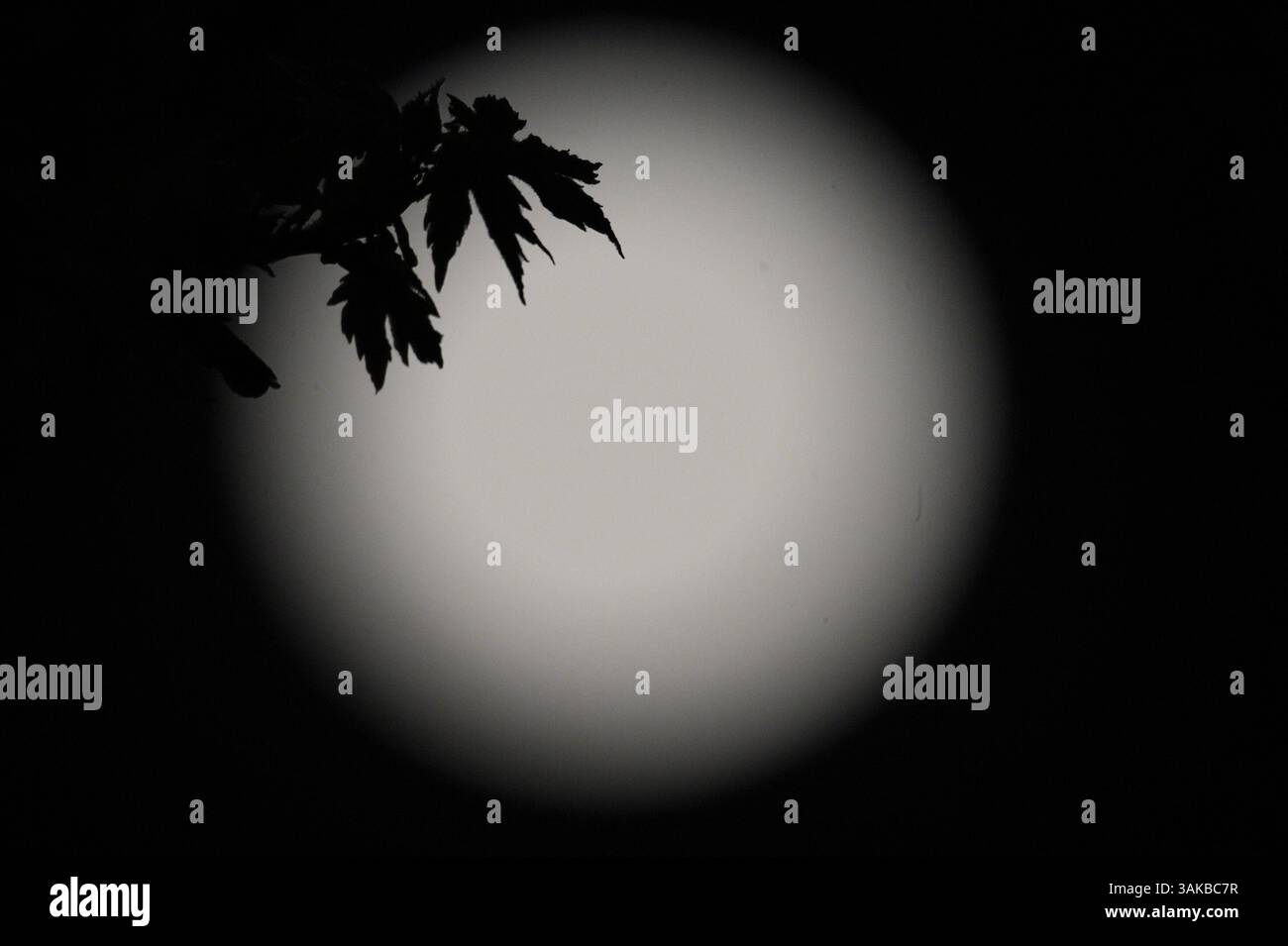 Warsaw, Poland. 12th Apr, 2025. The full moon called the pink moon is ...