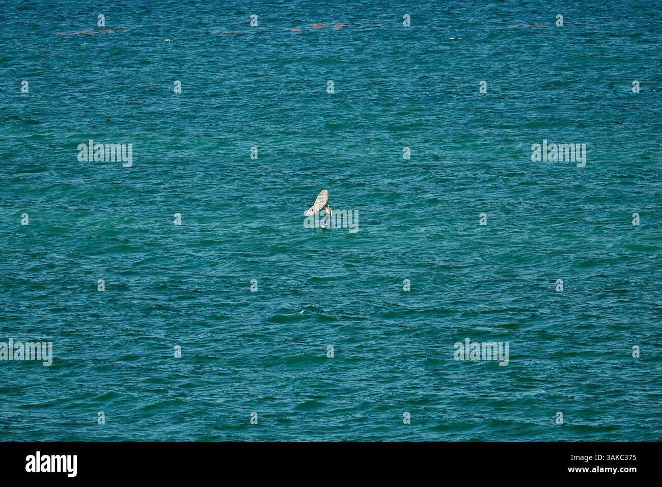 Wing Foiling at Miami Beach Stock Photo - Alamy