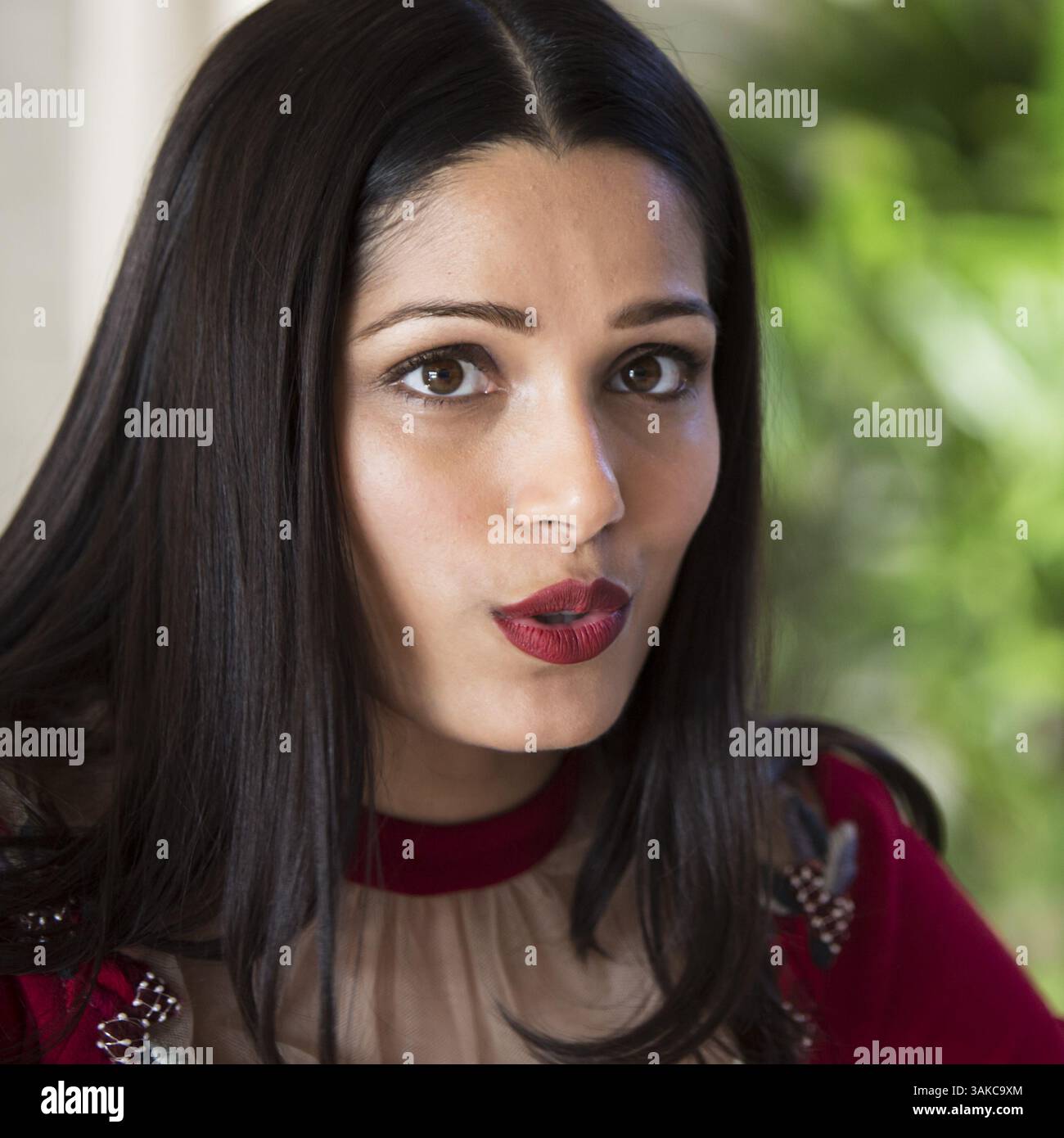 March 23, 2017 - Hollywood, California, U.S. - FREIDA PINTO stars in ...