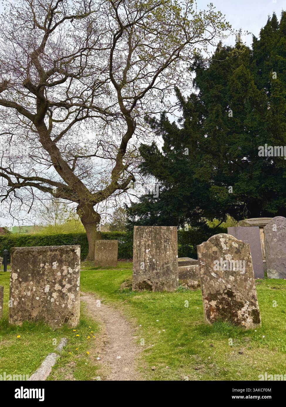 The church yard at Holy Cross Church in the village of Epperstone ...