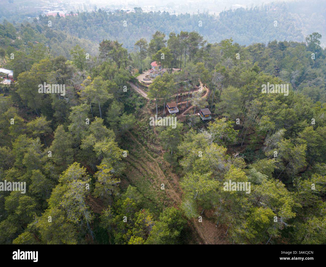 Aerial View of Rolling Hills with Pine Forest and Scattered Cabins in ...