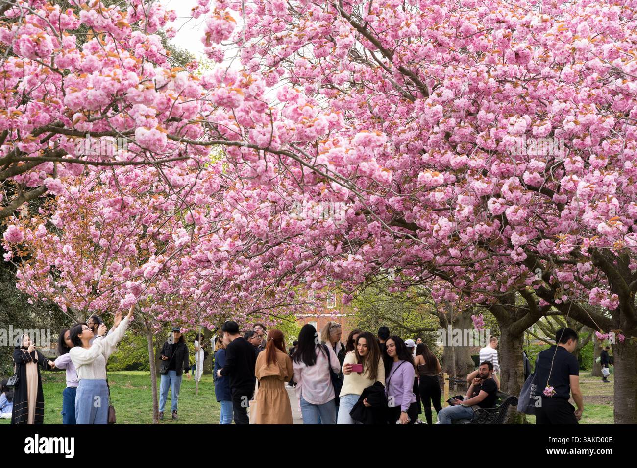 London Greenwich UK, 12th April 2025. UK Weather. on a day with high ...