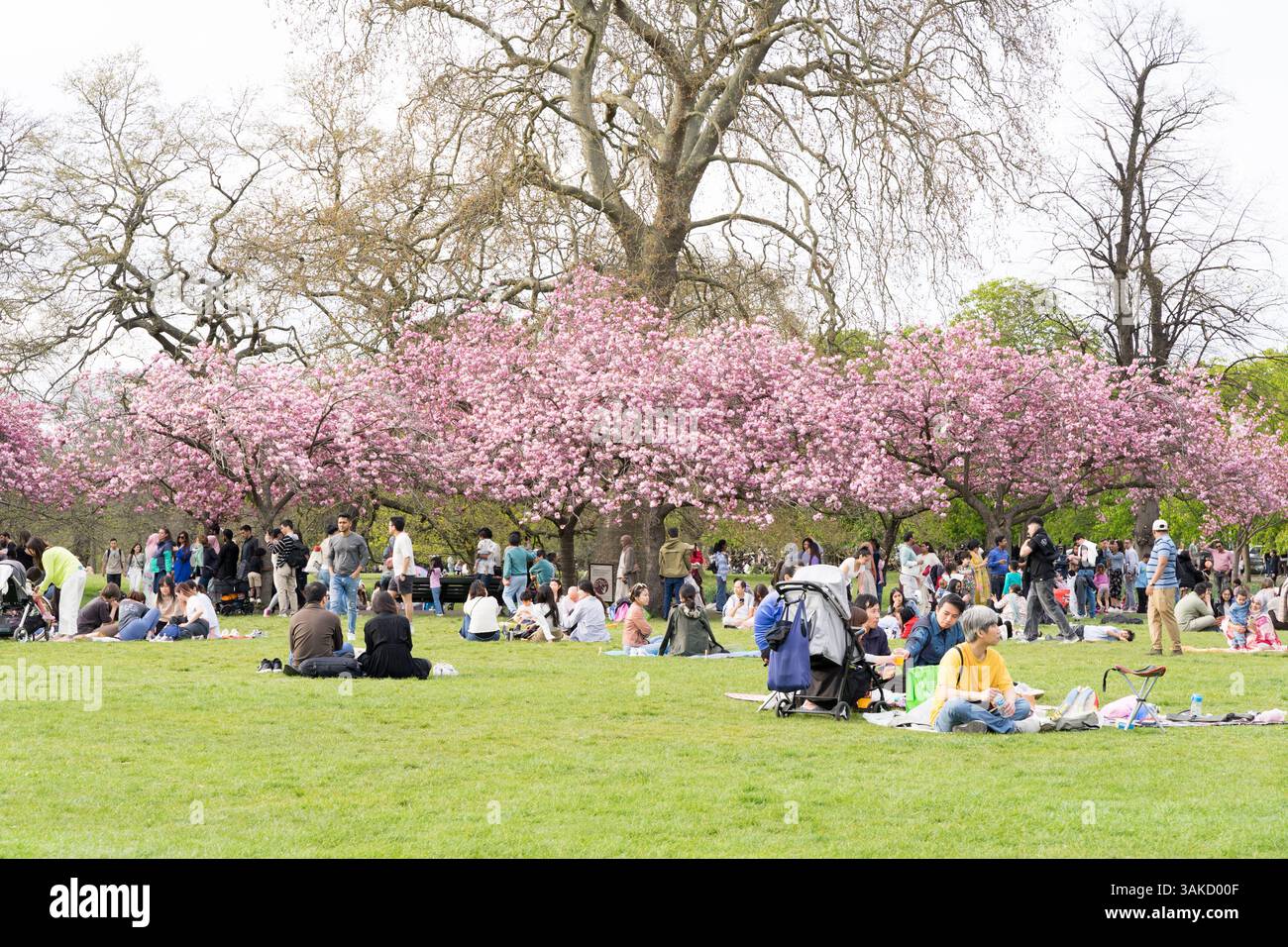 London Greenwich UK, 12th April 2025. UK Weather. on a day with high ...
