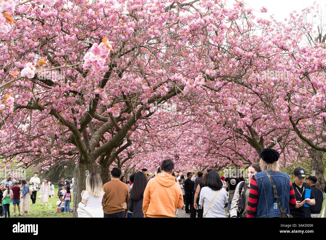 London Greenwich UK, 12th April 2025. UK Weather. on a day with high ...