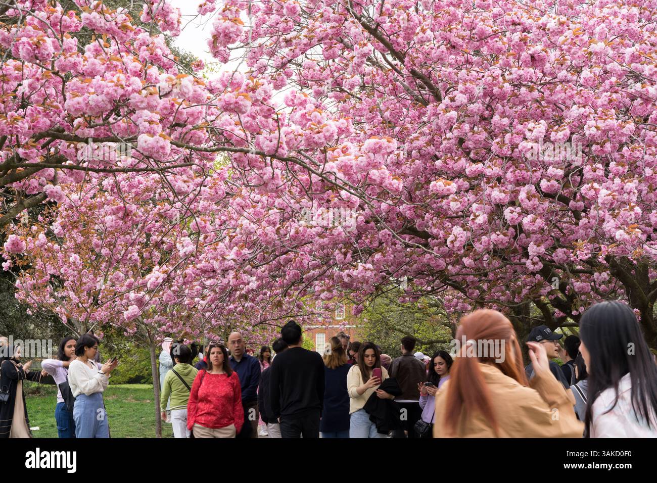 London Greenwich UK, 12th April 2025. UK Weather. on a day with high ...