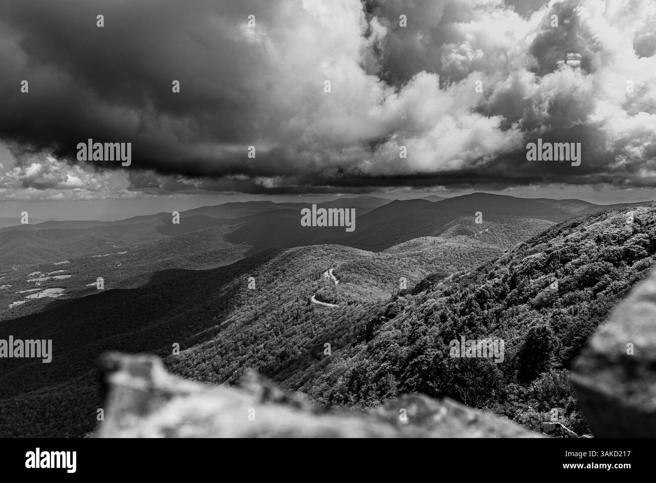 Drive in forest park Black and White Stock Photos & Images - Alamy