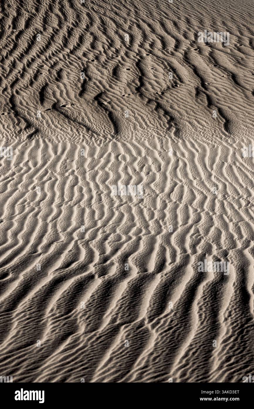 Sand ridges created by wind in death valley national park, California ...