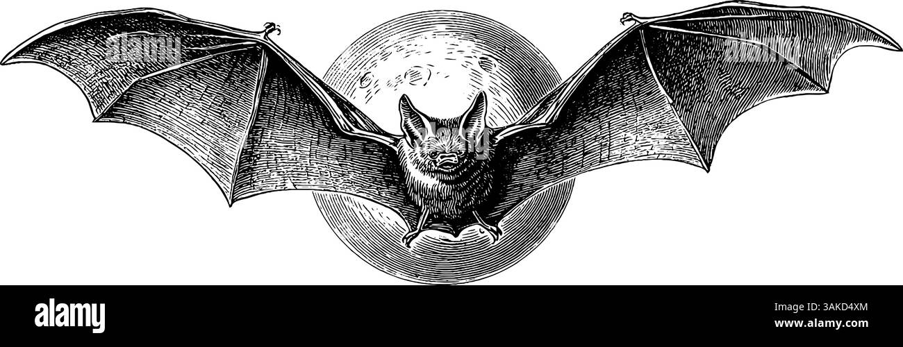 Artistic engraved banner illustration with dramatic sunrise and clouds ...