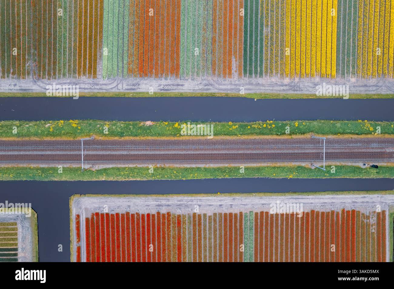 Aerial view of colorful Tulips, daffodils and Hyacinth fields in ...