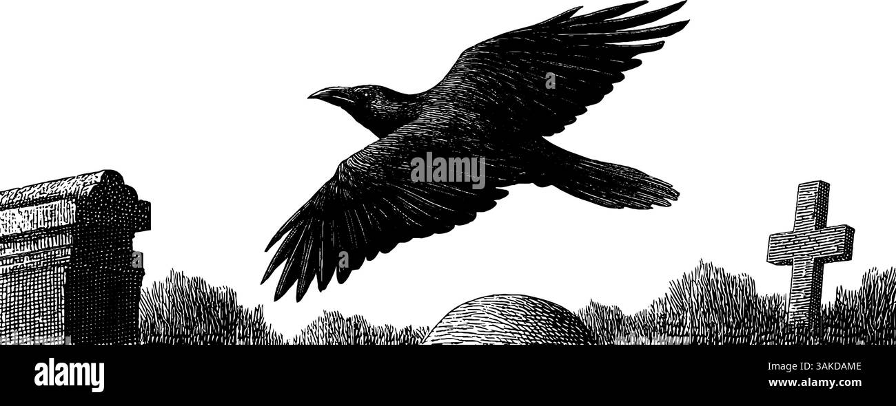 Crow in flight over graveyard - engraved illustration for dark themes ...