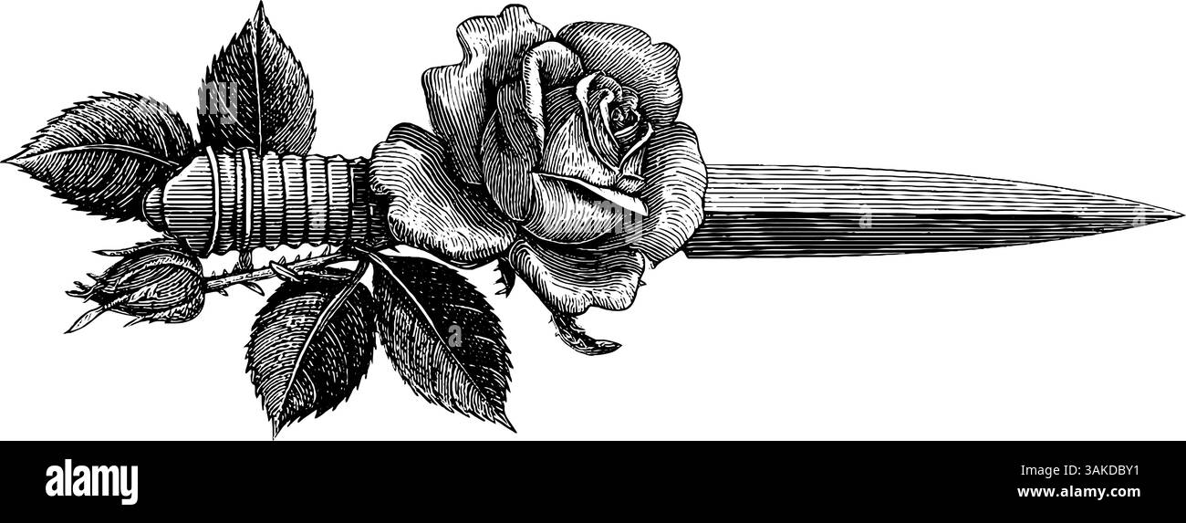 Vine engraved hi-res stock photography and images - Alamy