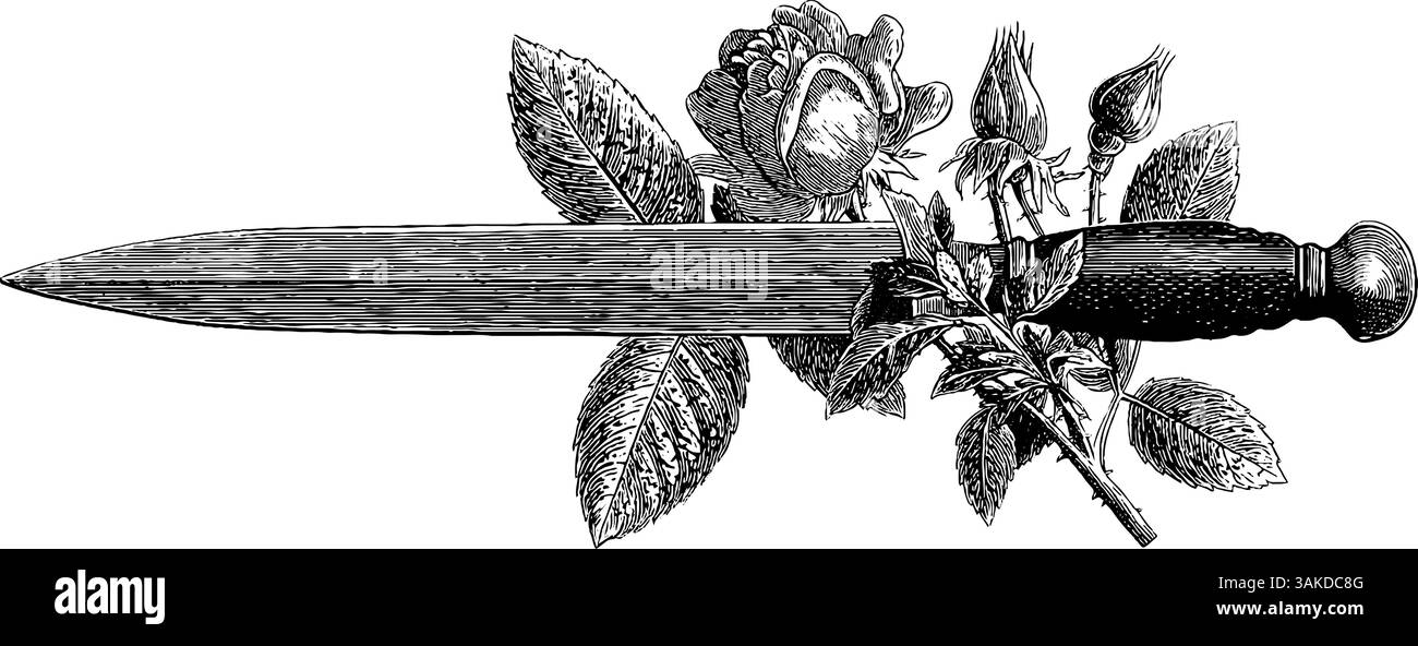 Vine engraved hi-res stock photography and images - Alamy