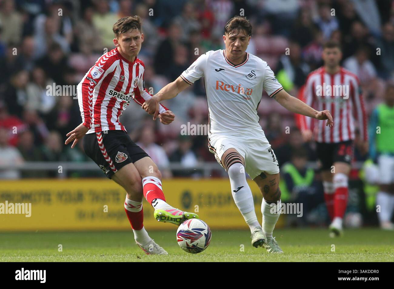 Sunderland's Chris Rigg makes a pass during the Sky Bet Championship ...