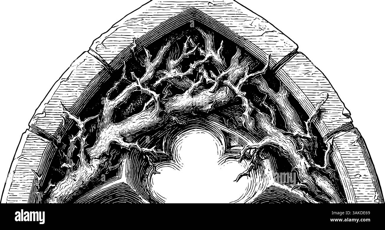 Vintage gothic arch window Stock Vector Images - Alamy
