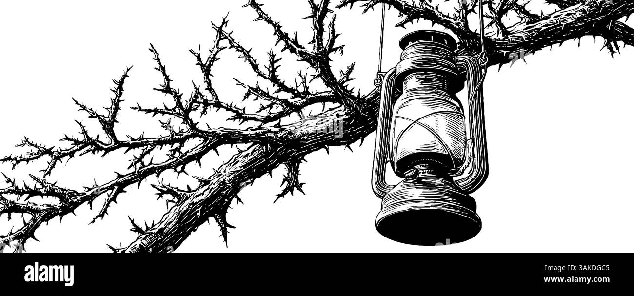 Vintage lantern hanging from tree branch engraved illustration for ...