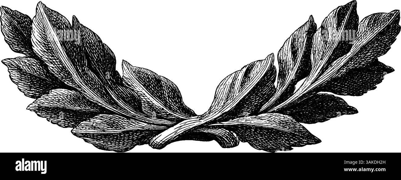 Intricate engraved laurel wreath banner design for vintage decorations ...