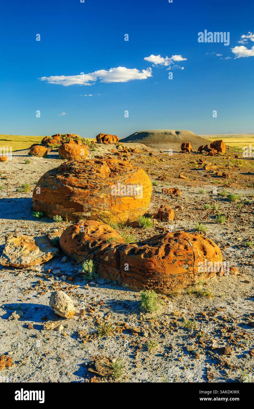 Spherical sandstone concretions exposed from erodeing clay in the Red ...