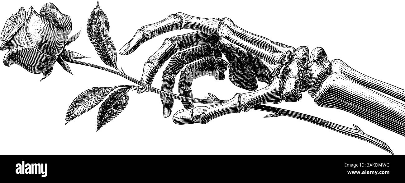 Intricate engraved art of skeleton hand holding rose for gothic and ...