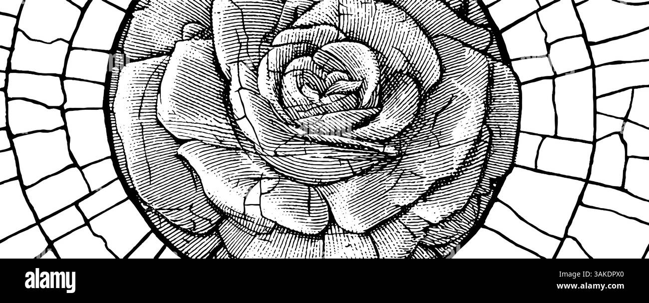 Intricate engraved rose in circular stained glass design for artistic ...