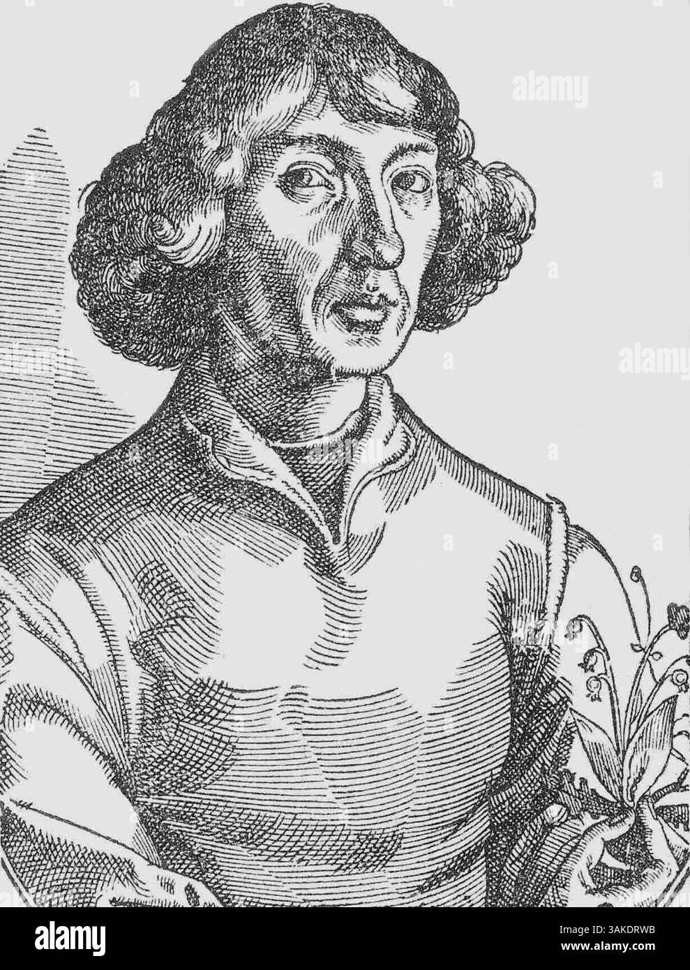 Nicolaus Copernicus holding lily-of-the-valley: portrait in Nicolaus ...