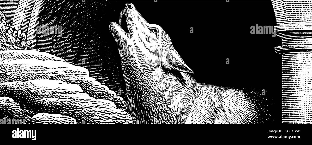 Engraved illustration of a howling wolf in a natural landscape scene ...