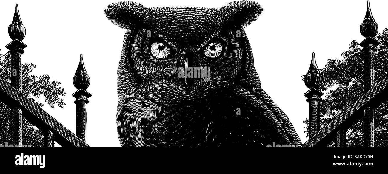 Engraved owl illustration with glowing eyes and detailed texture for ...