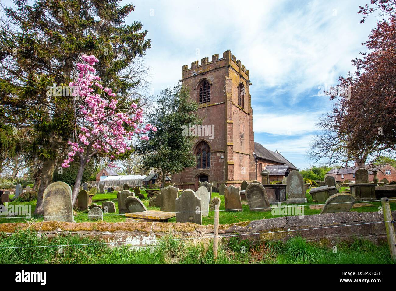 The sandstone 14Th century St Michael's Church at Shotwick the Wirral ...