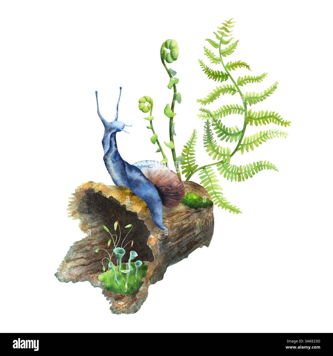 Cute absrtact blue snail on a green moss with a fern tree and low ...