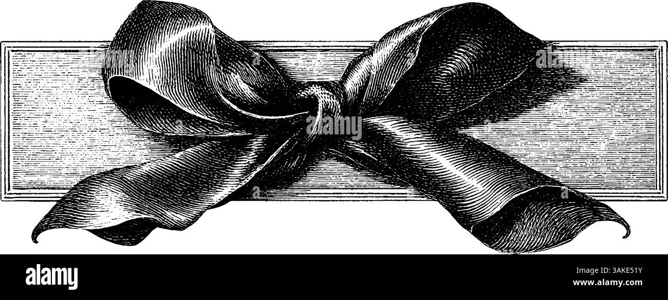 Engraved vintage ribbon bow illustration for design and decoration ...