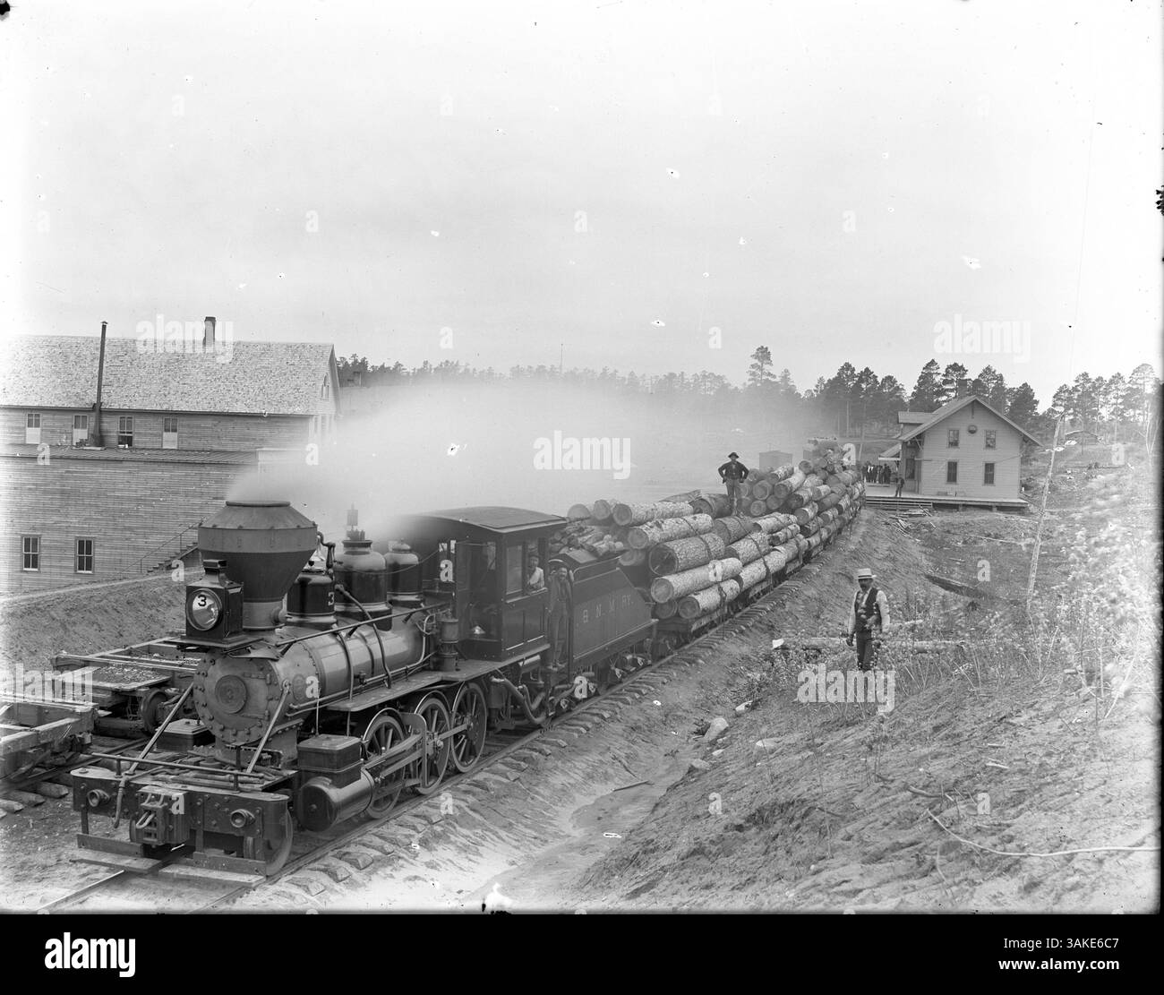 A logging train is pictured at Walker, demonstrating the area's ...