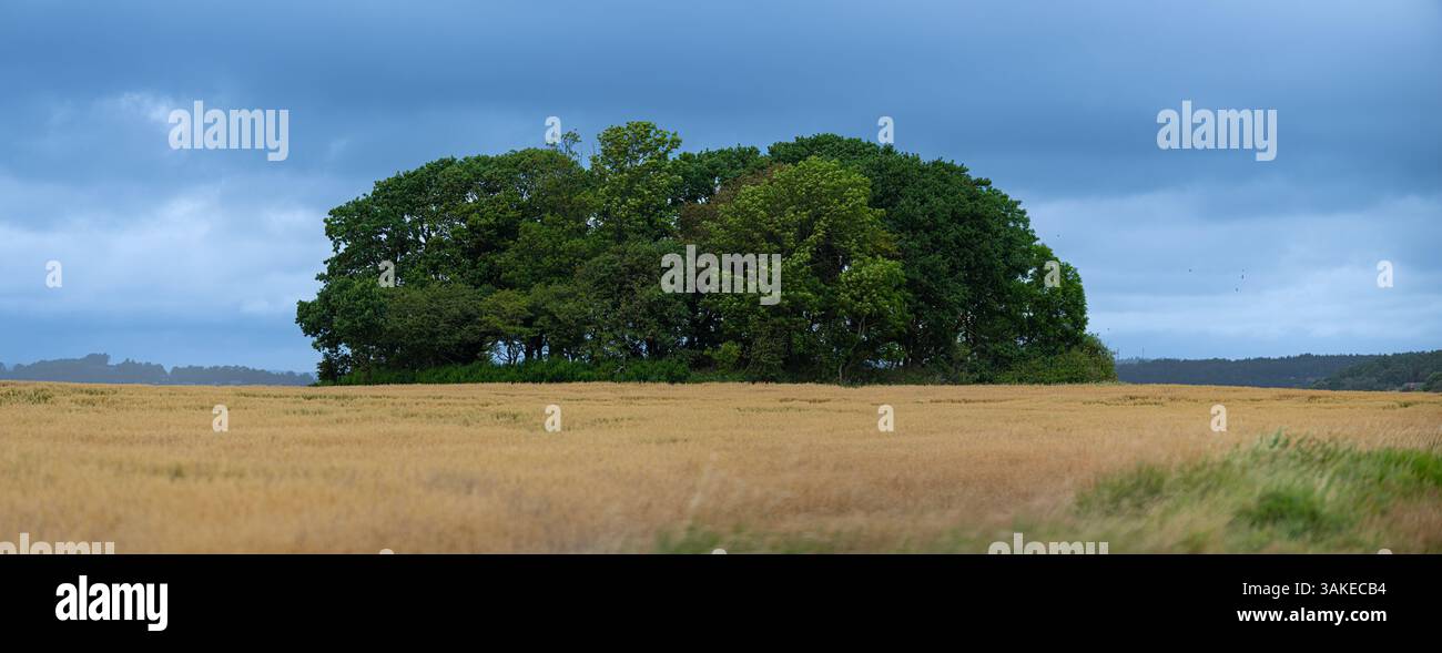 Light grout hi-res stock photography and images - Alamy