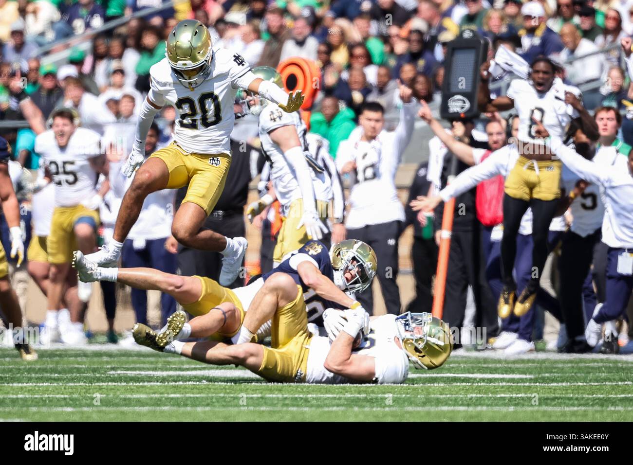 April 12, 2025: Notre Dame safety Ben Minich (13) intercepts the pass ...