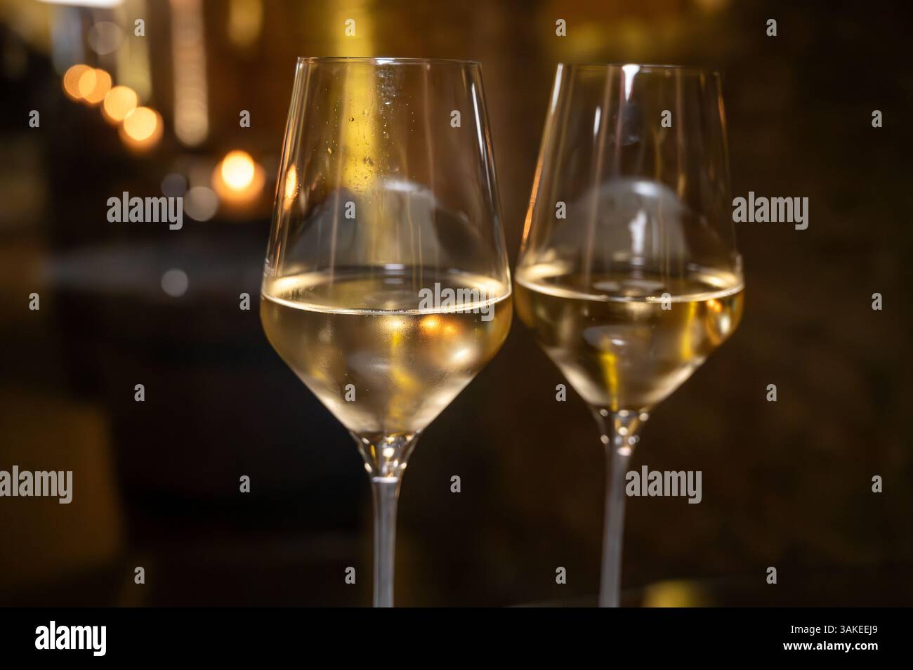 Visit of wine cellar, tasting of brut champagne sparkling wine produced by traditional method in ...