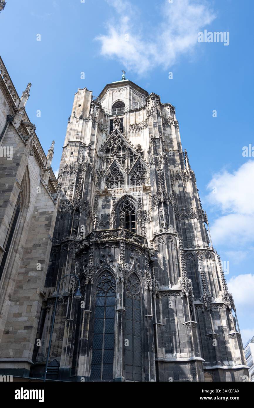 Walking in spring Vienna, city centre with beautiful buildings, museums ...