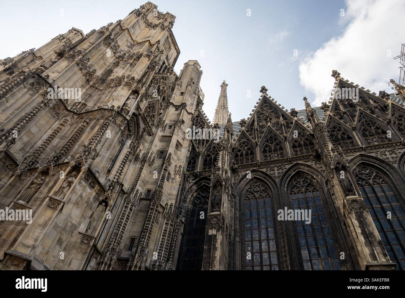 Walking in spring Vienna, city centre with beautiful buildings, museums ...